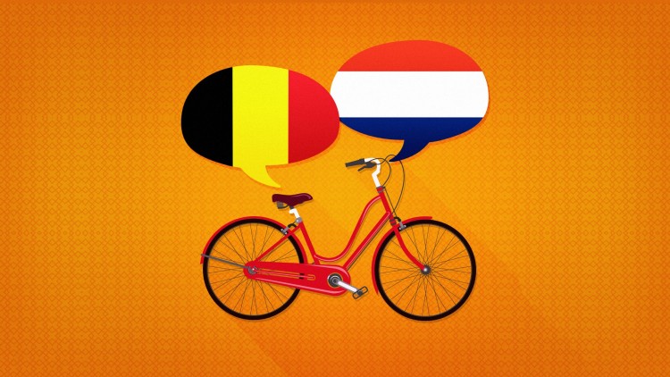 Learn Dutch Easily And Interactively