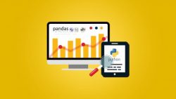 Udemy : Data Analysis in Python with Pandas coupon